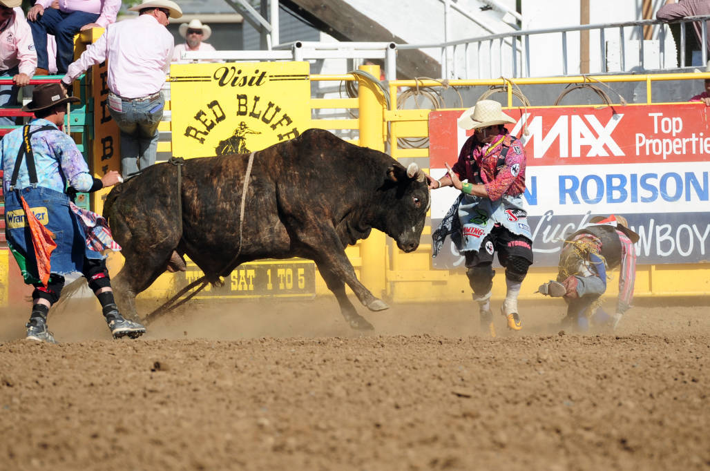 Red Bluff Round-Up Photo - Mountain Valley Living