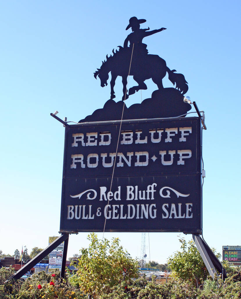 Red Bluff Round-Up_SF_Photo_4 - Mountain Valley Living