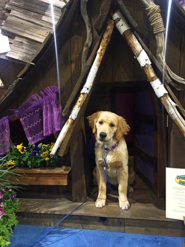 Meet The Artist C.J. & Lorrie Sanders Garden Gnome Homes - Mountain ...