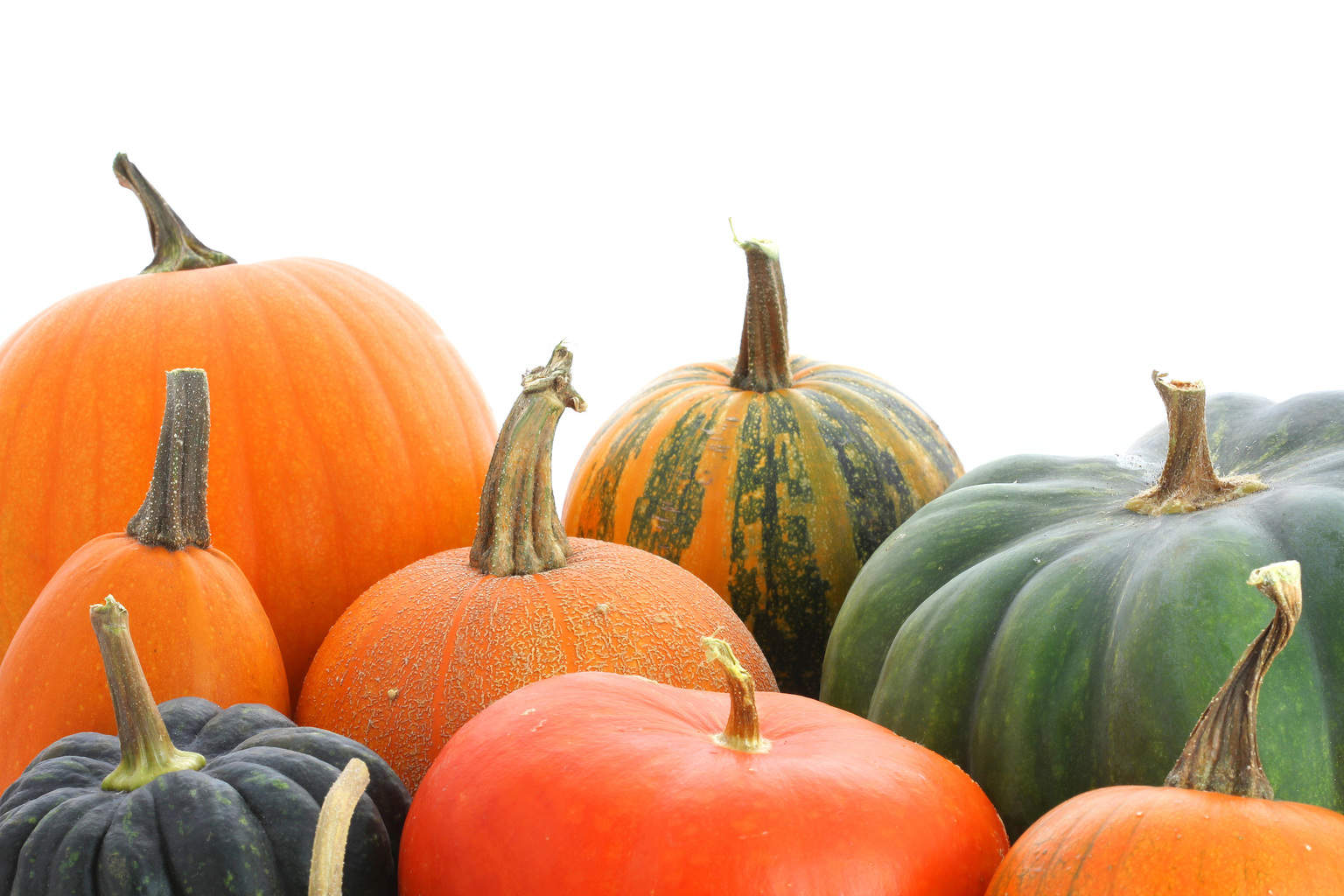 Picking The Perfect Pumpkin - Mountain Valley Living