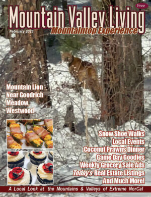 Mountain Valley Living - Life in the Mountains of NorCaL & Nevada ...