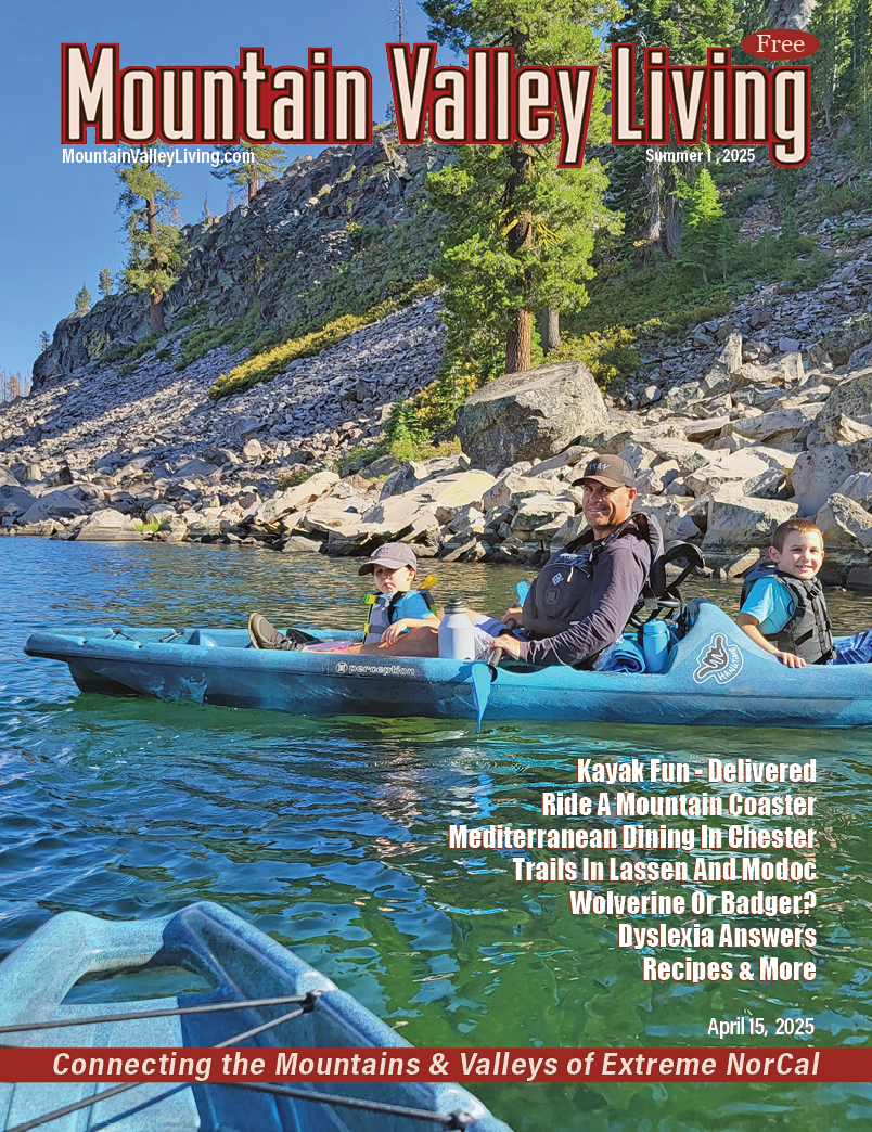 Mountain Valley Living - Life in the Mountains of NorCaL & Nevada ...