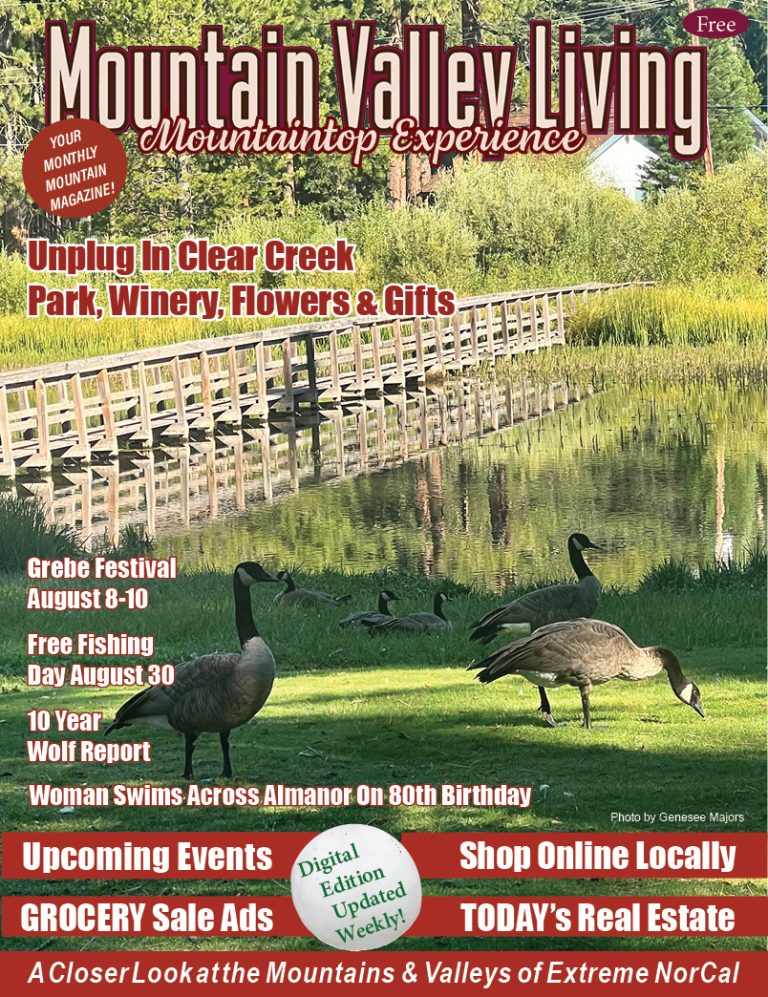 Mountain Valley Living - Life in the Mountains of NorCaL & Nevada ...